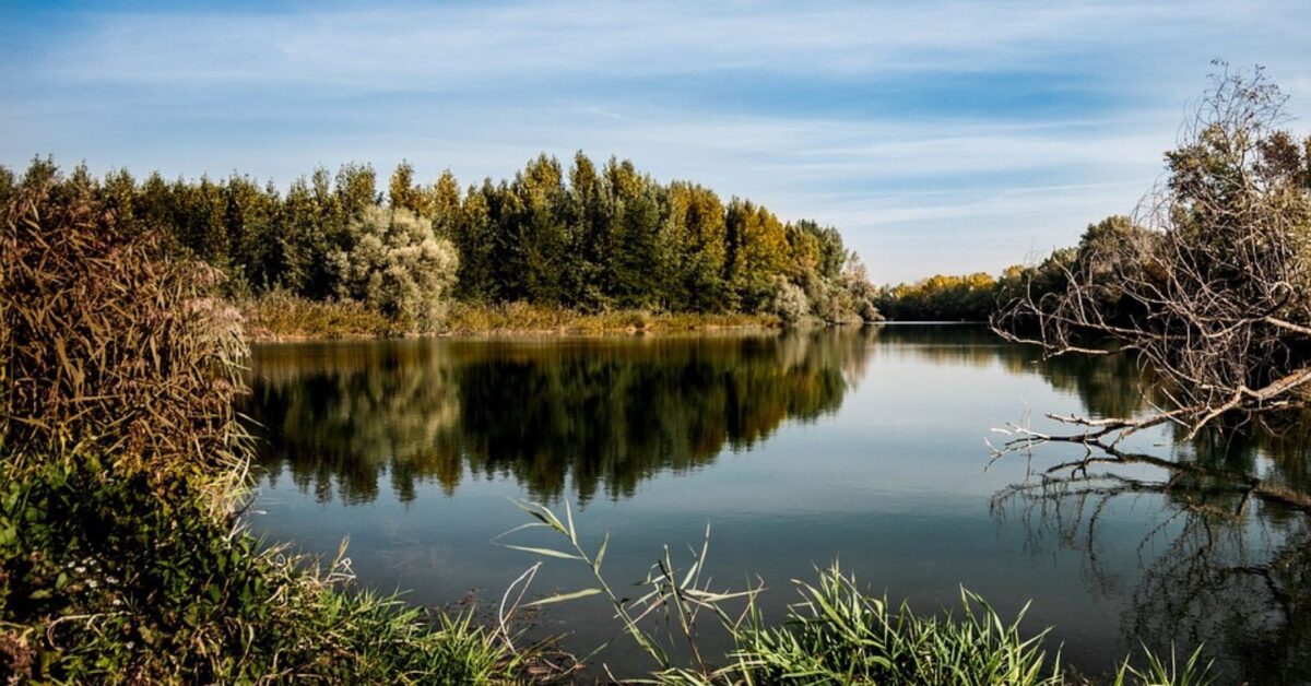 Hemp Geotextiles Hold "Promising Properties" For Stabilizing River Banks